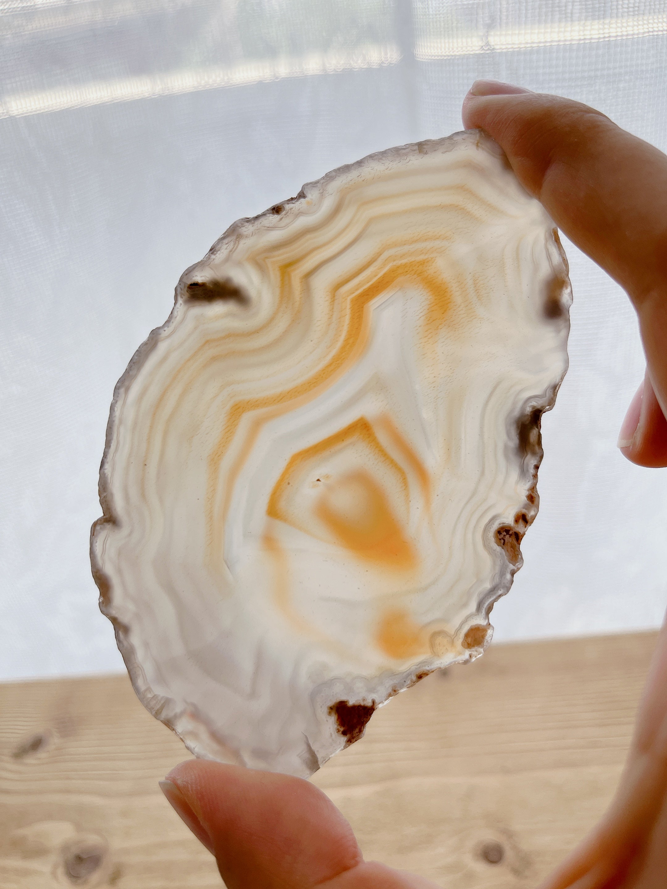 Plate – MIKI style